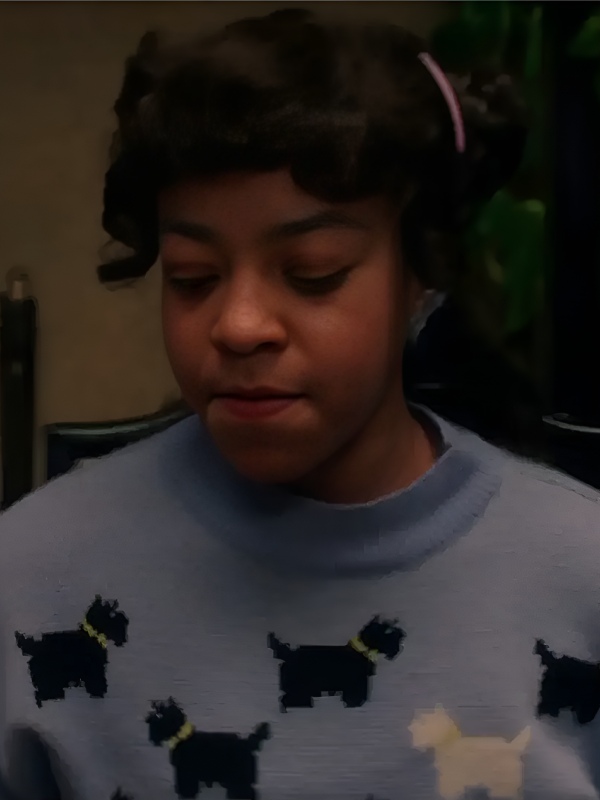 Stranger Things S05 Erica Sinclair Dog Print Sweater - Stardom Jackets